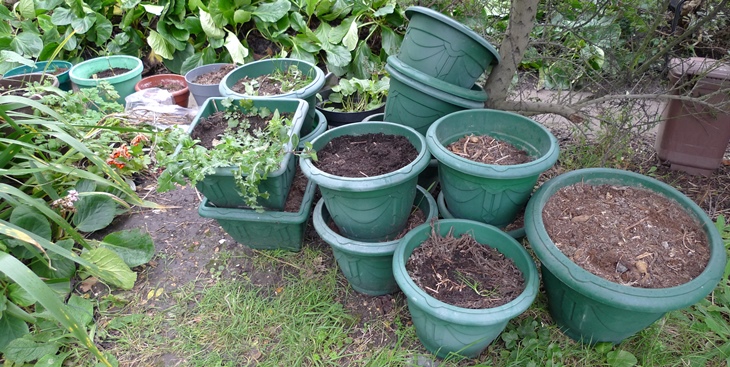 Empty Pots | garden withoutdoors